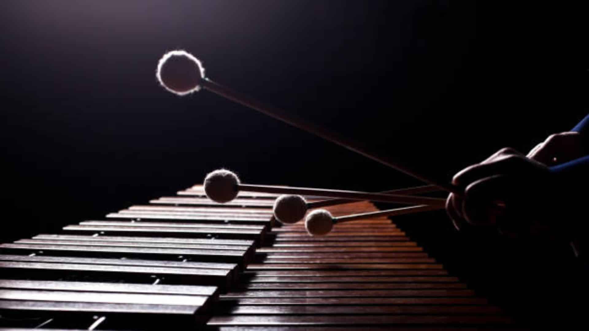 Hire Xylophone Players in Dubai for events, party and wedding!