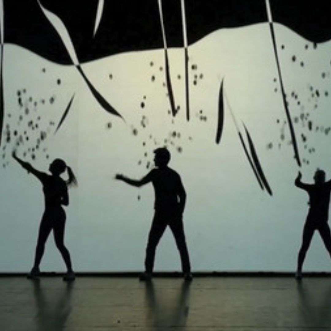 Hire Shadow Performance in Dubai for events, party and wedding!