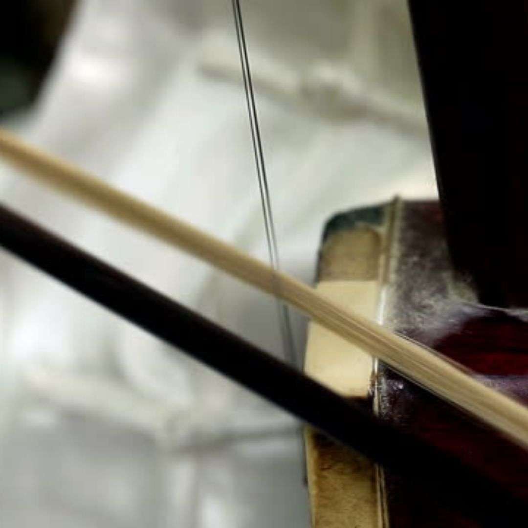 Hire Erhu Player in Dubai and Abu Dhabi I Bella Entertainment