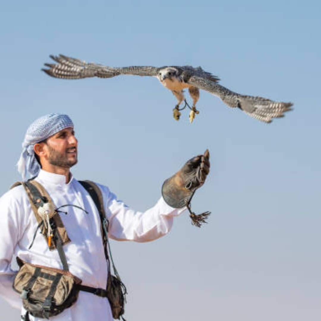 Hire Falcon Man in Dubai and Abu Dhabi I Bella Entertainment