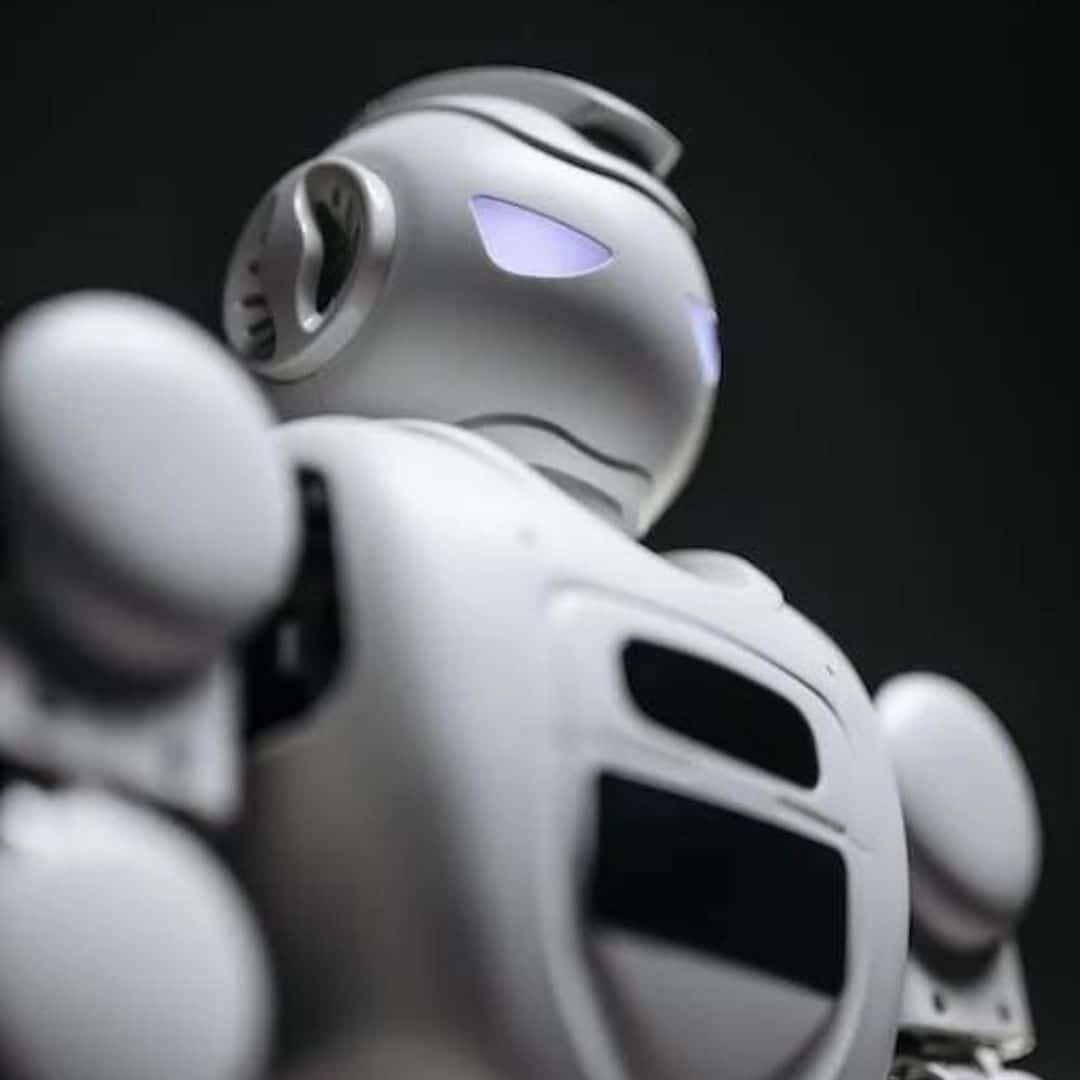 Book Dubai Robot I Bella Entertainment